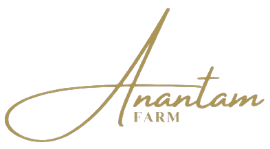 Anantam Farm Book Your Luxurious Stay